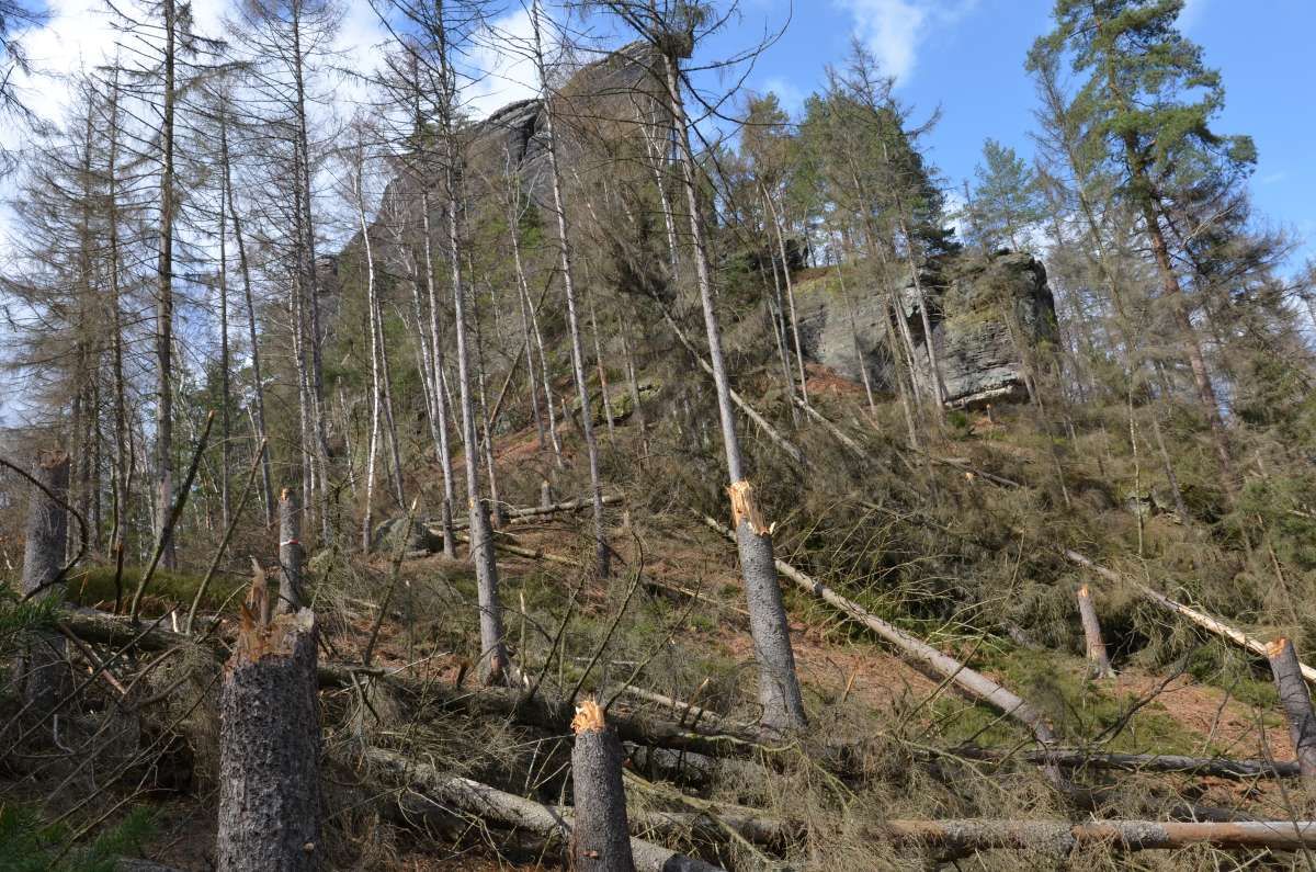DSC_9814_Bruchholz-Winterstein – Felsenheimat