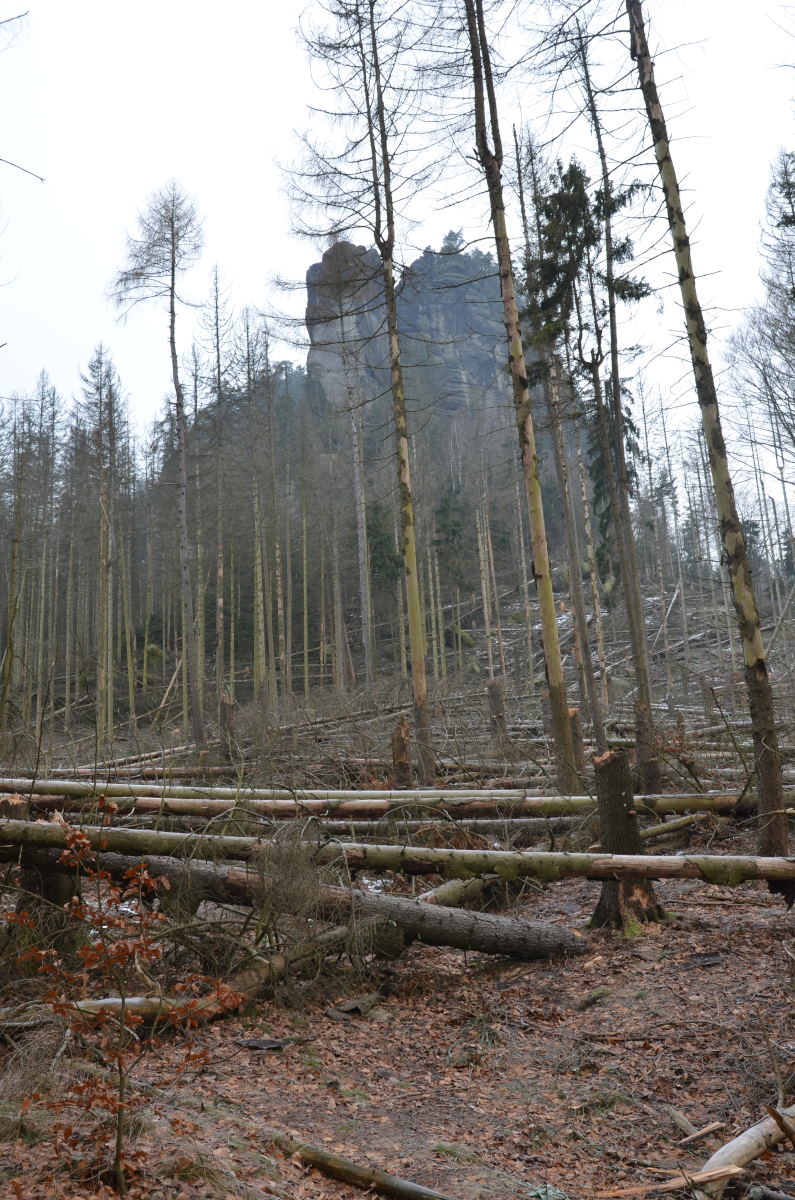 B_DSC_1522_Blick-zum-Winterstein – Felsenheimat